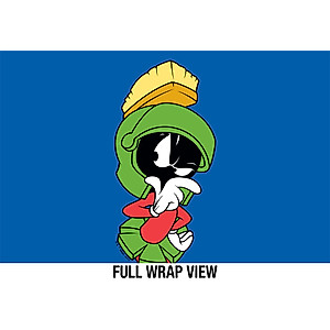 Looney Tunes OFFICIAL Marvin The Martian 18 oz Insulated Water Bottle, Leak Resistant, Vacuum Insulated Stainless Steel with 2-in-1 Loop Cap