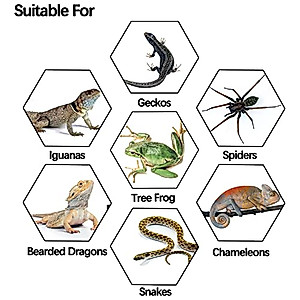 BNOSDM 4 Pcs Reptile Vines Snake Habitat Climbing Decor with 8 Suction Cups Lizard Terrarium Tank Accessories for Gecko Bearded Dragon Gecko Iguana Tree Frog Chameleon