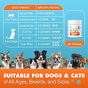 NBJU Probiotics for Dogs Cat Probiotic Chews Support Gut Health, Immunity Health, Diarrhea, Digestive Health & Seasonal Allergies - Chicken Flavor - 30 Chews Prebiotics and Probiotics