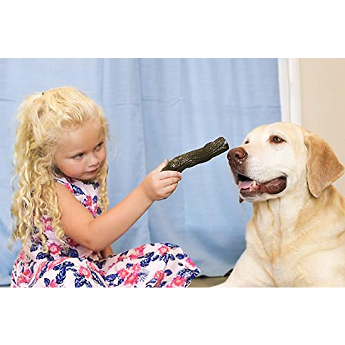 GNAWLY DOG Chew Toys for Aggressive Chewers, 5 Pack, Flavor Infused Heavy Duty Rubber Bones, Ring, Antlers, Ropes and Animal, Indoor and Outdoor Play for Medium to Large Breeds