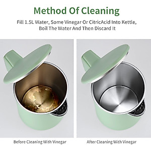 MEISON Electric Kettle, 1.7 L Double Wall Food Grade Stainless Steel Interior Water Boiler, Coffee Pot & Tea Kettle, Auto Shut-Off and Boil-Dry Protection, 1200W, 2 Year Warranty(Green)