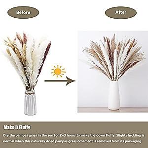 100PCS Pampas Grass Boho Decor, Dried Pampas Grass for Boho Home, Wedding, Baby Shower Decorations, Rustic Farmhouse Party Table Decor Home Decoration