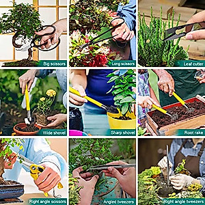 Phoenicus Bonsai Tools Set 13 Pcs High Carbon Steel Succulent Gardening Trimming Tools Set, Bonsai Scissors Set, yellow