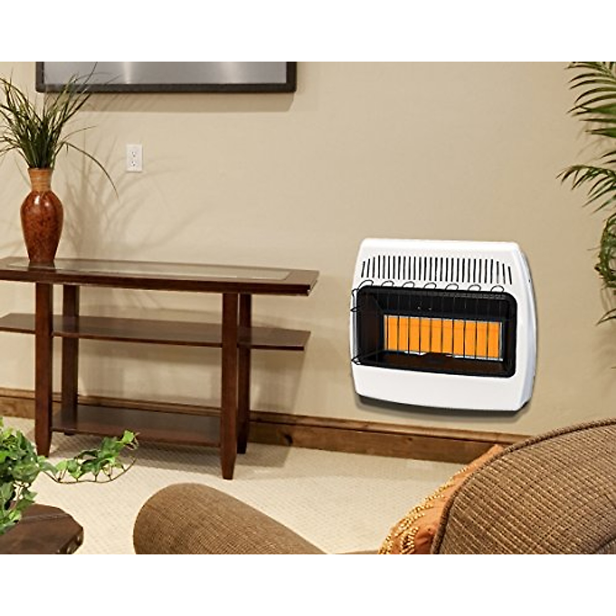Dyna-Glo IR30NMDG-1 30,000 BTU Natural Gas Infrared Wall Heater
