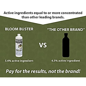 Bloom Buster Pond Algae Control - 16oz - Fast Acting Algaecide, Use in Fountains & Outdoor Ponds Containing Koi & Other Fish - EPA Registered