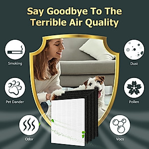 Improvedhand 115115 Filter A Replacement Compatible with Winix PlasmaWave Air Purifier C535 5300 5300-2 6300 6300-2 5000 9000 C909 AM90, 1 Pc H13 True High Efficiency Filter and 4 Pc Carbon Pre-filter