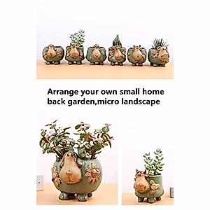 Small Succulent Pots,Succulent Garden Planters,Handicraft Creative Flower Decoration Ornaments,Cute Donkey Ceramic Flower Succulent Pot with Drainage,Suitable for Flower Shops,Home Life,Cafes