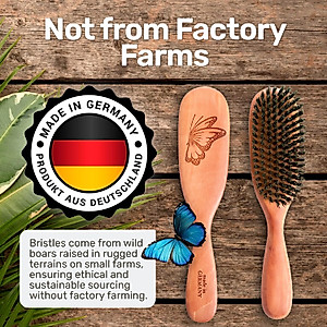 100% Pure Calcutta Boar Bristle Hairbrush for Natural Healthy Hair, Stiff Bristle, Made in Germany's Black Forest
