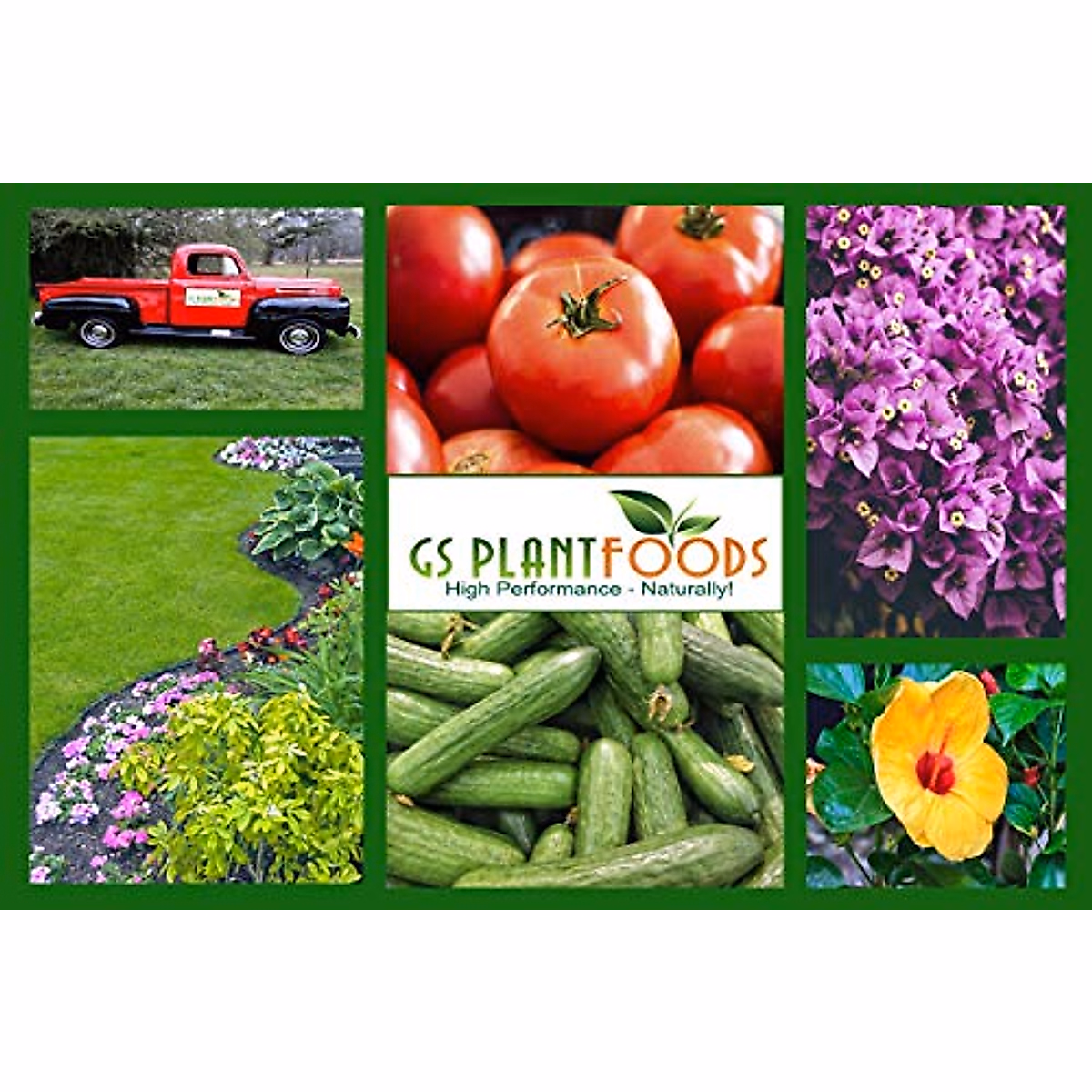 20-20-20 Plant Fertilizer by GS Plant Foods- All Purpose Water Soluble Plant Food with Kelp & Micronutrients (3 Pounds) - Suitable for All Plants, Turf, Indoor & Outdoor Plants