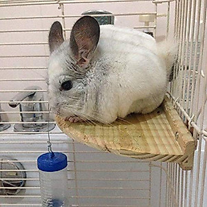 Hamiledyi 5Pcs Hamster Wooden Stand Platform Rat (L/Fan/Circular - Shaped) Activity Springboard Small Animal Natural Cage Corner Accessories for Birds, Parrot, Mouse, Gerbil to Play