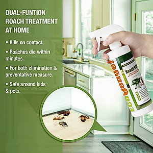 EcoVenger Roach & Ant Killer 1/2 Gal Trigger Sprayer, Kills on Contact, Kills Ants & Other Indoor & Outdoor Crawling Insects, Natural & Non-Toxic, Pleasant Botanical Scent, Safe for Children & Pets