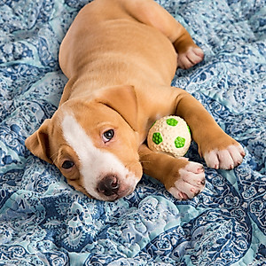 Comfort Spaces Reversible Quilt Set-Vermicelli Stitching Design All Season, Lightweight, Coverlet Bedspread Bedding, Matching Shams, Twin/Twin XL (66 in x 90 in), Gloria Damask Aqua 2 Piece