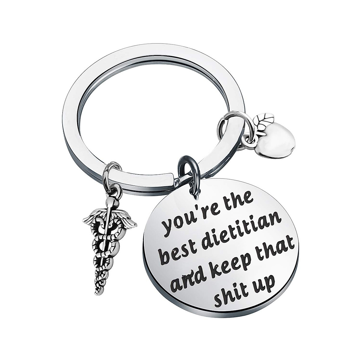 SEIRAA Dietitian Gift RD Registered Dietitian Gift You’re The Best Dietitian and Keep That Shit Up Keychain Retirement Gift for Food Teacher (best dietitian keychain)