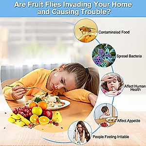 Fruit Fly Traps for Indoors,Effective Fruit Fly Killer Catcher Gnat Trap with Yellow Sticky Pads,Reusable Odorless Gnat Killer Fruit Fly Trap Comes with Fruit Fly Attractant for Home Kitchen (2 Pack)