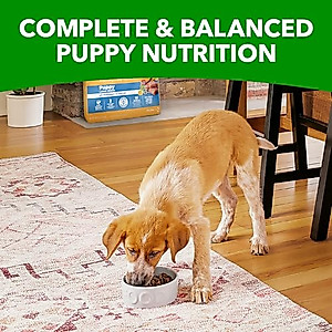 IAMS Smart Puppy Large Breed Dry Dog Food with Real Chicken, 15 lb. Bag