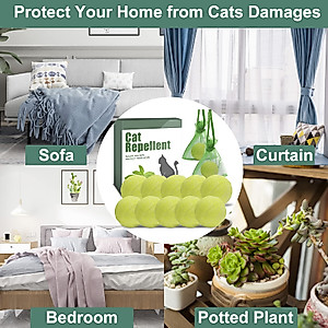 10 Pack Natural Cat Repellent Outdoor Indoor, Peppermint Oil Cat Deterrent Outdoor Repels Cat Dog Deer Rabbit from Garden Yard Lawn Home Keep Your Yard Lawn Porch Furniture Curtain from Cat Damages