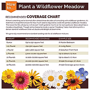 Midwest All Perennial Wildflower Seed Mix - 5 Pounds - Mixed Wildflower Seeds, Attracts Bees, Attracts Butterflies, Attracts Hummingbirds, Attracts Pollinators, Easy to Grow & Maintain, Cut Flower