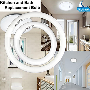 FC8T9/CW 22W and FC12T9/CW 32W Cool White Round Fluorescent Light Bulb Set, 8 inch T9 22 Watts & 12 inch 32 Watts Circular Bulbs Pack, Circline Kitchen and Bath Light Bulbs, CRI 80, 4100K, G10q Prong