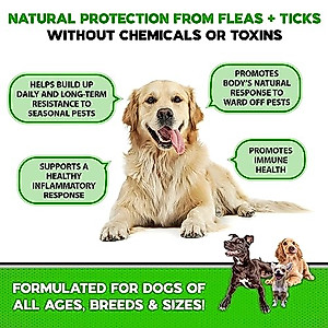 Flea and Tick Prevention for Dogs Chewables - Made in USA - Natural Flea and Tick Supplement for Chews - Oral Flea Pills - No Mess | No Collars - All Breeds and Ages - Tasty Soft Tablets