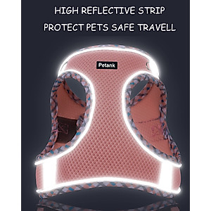 Petank Dog Harness for Small Medium Dogs No Pull, Puppy Harness and Leash Set, Easy Walk Dog Harness for Walking, Running, Training, Small Dog Harness, Medium Dog Harness (Green, S)