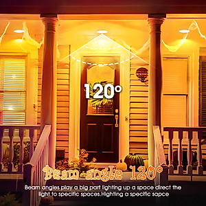 LED Par38 Flood Orange Light Bulb - 150W Equivalent Halloween Flood Lighting, 15W E26 Base Orange LED Lights, for Halloween Party Decoration, Porch, Home Lighting, Holiday Lighting Outdoor, 2 Pack