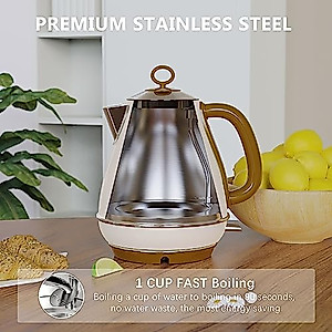 Evoloop 1.7L Electric Kettles, BPA Free Tea Kettle, Hot Water Boiler Heater, Stainless Steel Teapot, Auto Shut-Off & Boil-Dry Protection, 120V/1500W