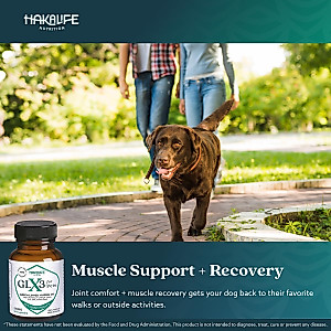 GLX3 Green Lipped Mussel Oil for Dogs | Joint & Hip Comfort Omega-3 Supplement | Ideal for All Dog Breeds and Ages | 1 Month Supply, 60 Soft Chews w/Natural Ingredients