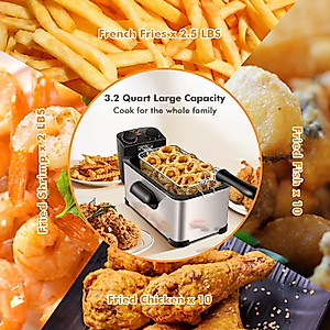 ARLIME Deep Fryer with Basket, 3.2 Qt/3L Electric Fryer with Adjustable Temperature & Timer, Removable Oil-Container & Lid w/View Window, Stainless Steel Small Deep Fryers for Home Use, Kitchen