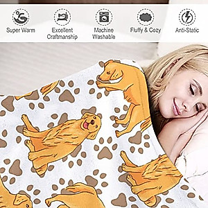 Golden Retriever Blanket Gifts, Dog Pattern Flannel Fleece Throw Blanket Soft, Lightweight, Comfortable, Warm Golden Retriever Themed Blanket for Humans Adults Kids