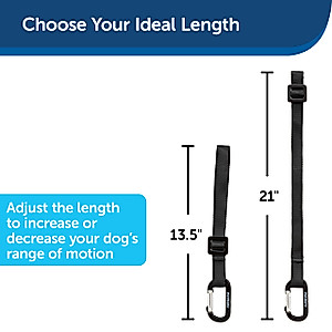 PetSafe Happy Ride Seat Belt Tether for Dogs, Adjustable Strap Keeps Pets Secure in Car