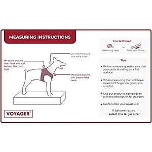 Voyager Step-in Air All Weather Mesh Harness and Reflective Dog 5 ft Leash Combo with Neoprene Handle, for Small, Medium and Large Breed Puppies by Best Pet Supplies - Set (Baby Blue), M