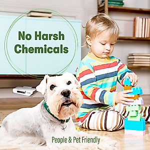 BugMD Indoor Cockroach Killer & Roach Trap - Sticky Insect, Spider, Cricket Control for Home - Glue Traps Pest Defense, 12 Pack Sticky Bug Solution