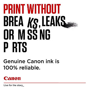 Canon PG-545 Black Ink Cartridge