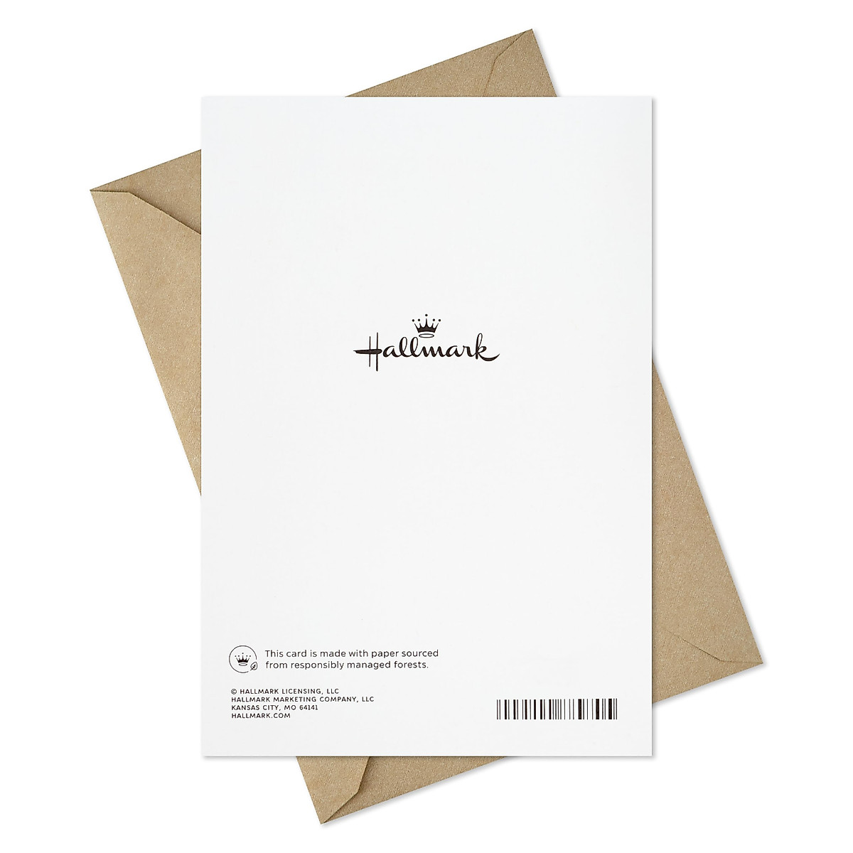 Hallmark Birthday Card for Grandpa (Bear Buddies) for Birthdays, Grandparent's Day, Any Occasion