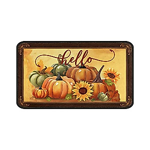 Fall Door Mat Outdoor, Fall Decorations for Home Pumpkins Doormat, Fall Decor Autumn Rug Welcome Mat for Entrance Home Decor, Thanksgiving Doormat for Home Front Door Indoor (17"x30")