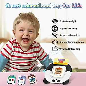 DOSMONO Flash Cards for Toddlers 2-6 Years, 224 Flashcards for Kids Kindergarten Preschool, Sight Word Cards Educational Learning Toys Real Pictures Include ABC, 123, Animals, Weather