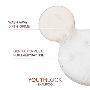 Joico YouthLock Shampoo Formulated With Collagen | Youthful Body & Bounce | Reduce Breakage & Frizz | Soften & Detangle Hair | Boost Shine | Sulfate Free | With Arginine | 1.7 Fl Oz