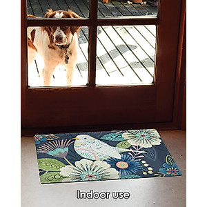 Toland Home Garden 800516 Boho Bird Spring Door Mat 18x30 Inch Bird Outdoor Doormat for Entryway Indoor Entrance