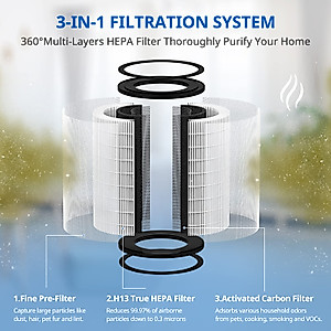 AP-T45 AP-T40FL AP-T43 H13 HEPA Replacement Filter Compatible with 1461901 Homedics 5 in 1 Total Clean Air Purifier 1461901 Replacement Filter, AP-T40, AP-T43, and AP-T45-WT, Costco 1461901