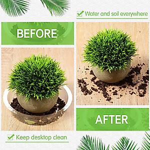 Shellwei 100 Pcs Plastic Plant Saucer Plant Drip Trays 6 Inch Plant Clear Water Plant Plate Plastic Dish Trays Plant Trays for Pot Indoor Outdoor Garden Container Planters Drainage