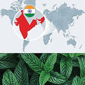 DIYBeauty Bulk Peppermint Essential Oil - Large Size 32 fl oz Bottle - 100% Pure and Undiluted Therapeutic Grade Mentha Piperita - Concentrated Extract