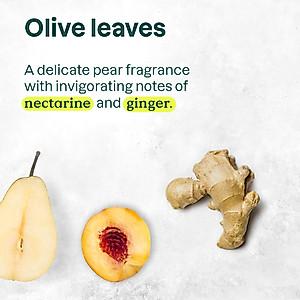 ATTITUDE Nourishing Hair Conditioner, For Dry and Damaged Hair, Naturally Derived Ingredients, Vegan Detangler, Dermatologically Tested, Grapeseed Oil and Olive Leaves, 8 Fl Oz