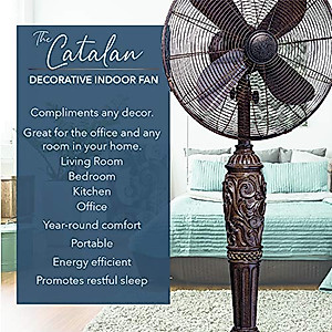 Oscillating Decorative Fan for Your Desk, Kitchen, Office, Bedroom - 12 Inch Fan Head, 3 Speeds with Tilting Head for Cooling Your Room Fast - Small, Quiet, Portable, Personal Desktop Fan (Catalan, Floor)
