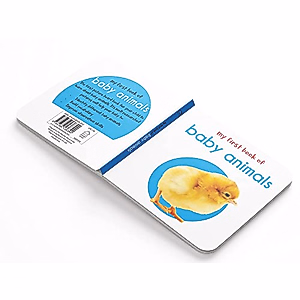 My First Library : Boxset of 10 Board Books for Kids