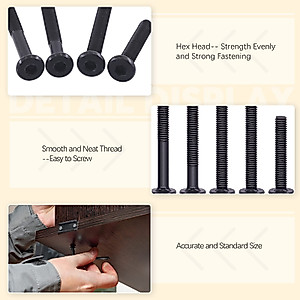 Rustark 181Pcs M6 x 15-80mm Black Crib Screws Hardware Replacement Kit Zinc Plated Hex Socket Head Cap Bolts Thread Nutsert Barrel Nuts T-Nuts and Flange Nuts Assortment Kit for Crib Beds Furniture