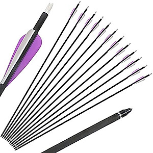 IRQ Archery 31Inch Carbon Arrow Practice Hunting Arrows with Removable Tips for Compound & Recurve Bow(Pack of 12)