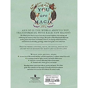 The Wheel of the Year: An Illustrated Guide to Nature's Rhythms