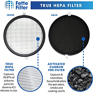 2 Pack of Premium H13 True Hepa Filter Compatible with Pure Enrichment PureZone Halo Air Purifier Model PEAIRDSK Compatible with Sharper Image Personal Air Purifier Item # 207073 207009