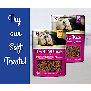N-Bone 1.87 Oz. Ferret Bacon Flavor Chew Treats