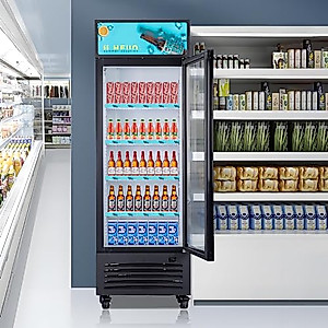 NAFCOOL Commercial Beverage Refrigerator Display Fridge, Tall Slim Single Door Merchandiser Drink Cooler with LED Light Adjustable Shelves,ETL and NSF Approval,18.5 Cu Ft,25" Wide